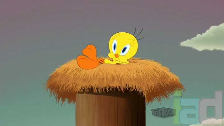 High Wire (2021) - The Internet Animation Database