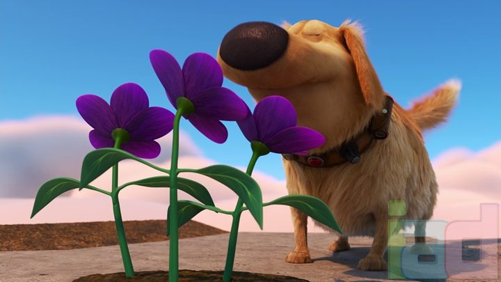 Flowers (2021) - The Internet Animation Database