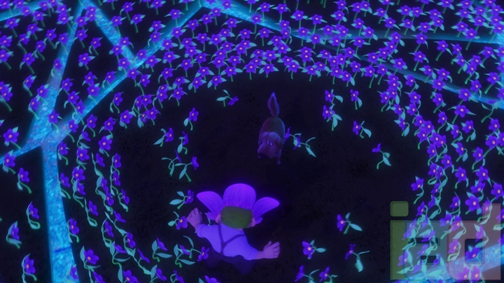 Flowers (2021) - The Internet Animation Database