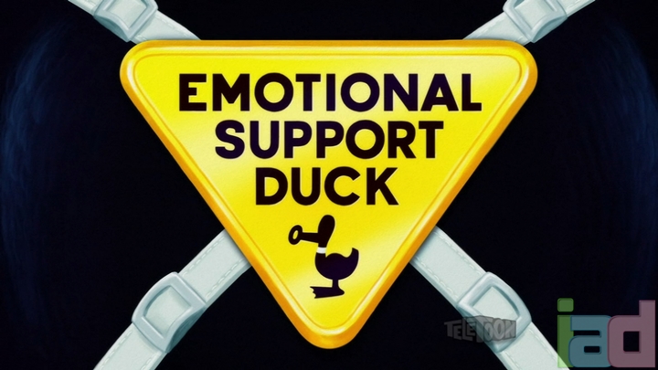 Emotional Support Duck (2021) - The Internet Animation Database