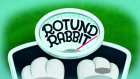 Rotund Rabbit (2021) - The Internet Animation Database
