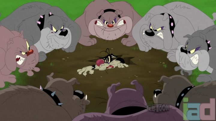 Hot Air Buffoon (2021) - The Internet Animation Database