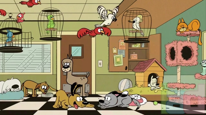 Animal House (2021) - The Internet Animation Database