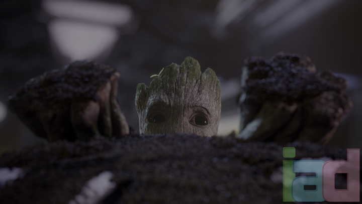 Groot's First Steps (2022) - The Internet Animation Database