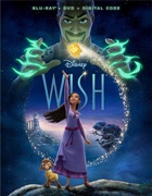 Wish (2023) - The Internet Animation Database