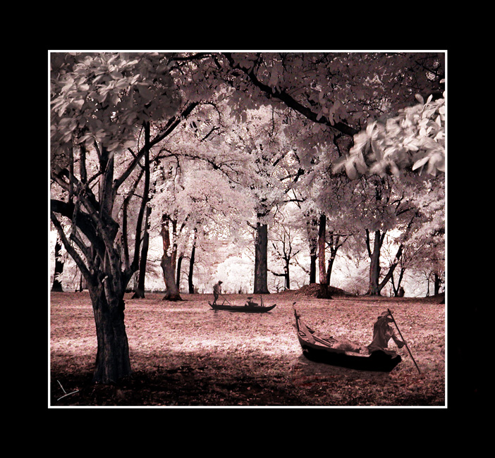 Jeff Lieberman | Arresting Stillness: A Photographic Art