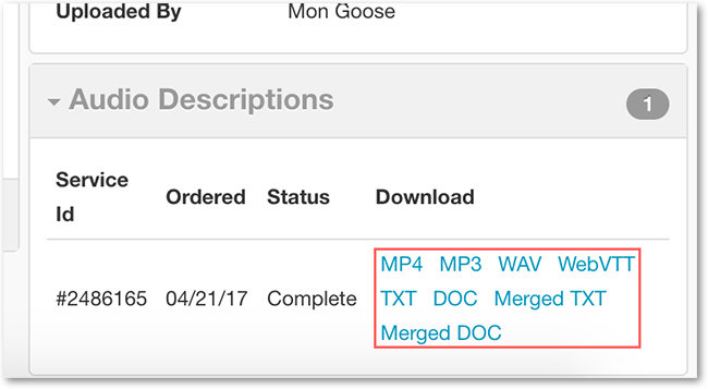 Audio Description - How To Download – 3Play Media Support