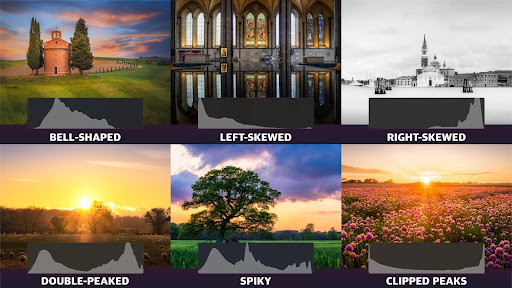 Understanding Histograms in Photography (Luminar Neo)