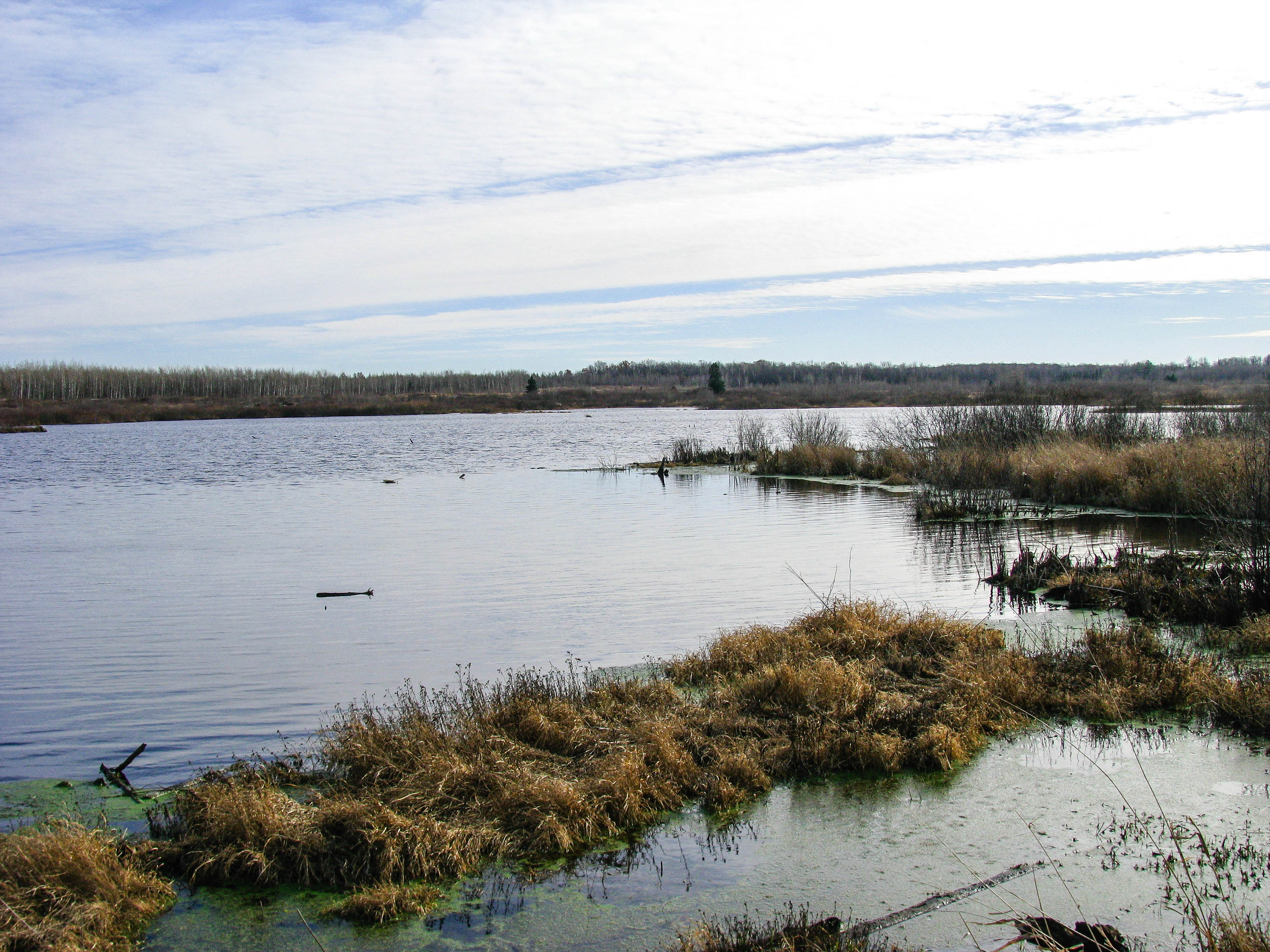 November Hotspot of the Month--Pershing Wildlife Area - eBird Wisconsin