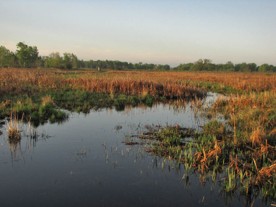 Hotspot of the month -- White River Marsh State Wildlife Area - eBird ...