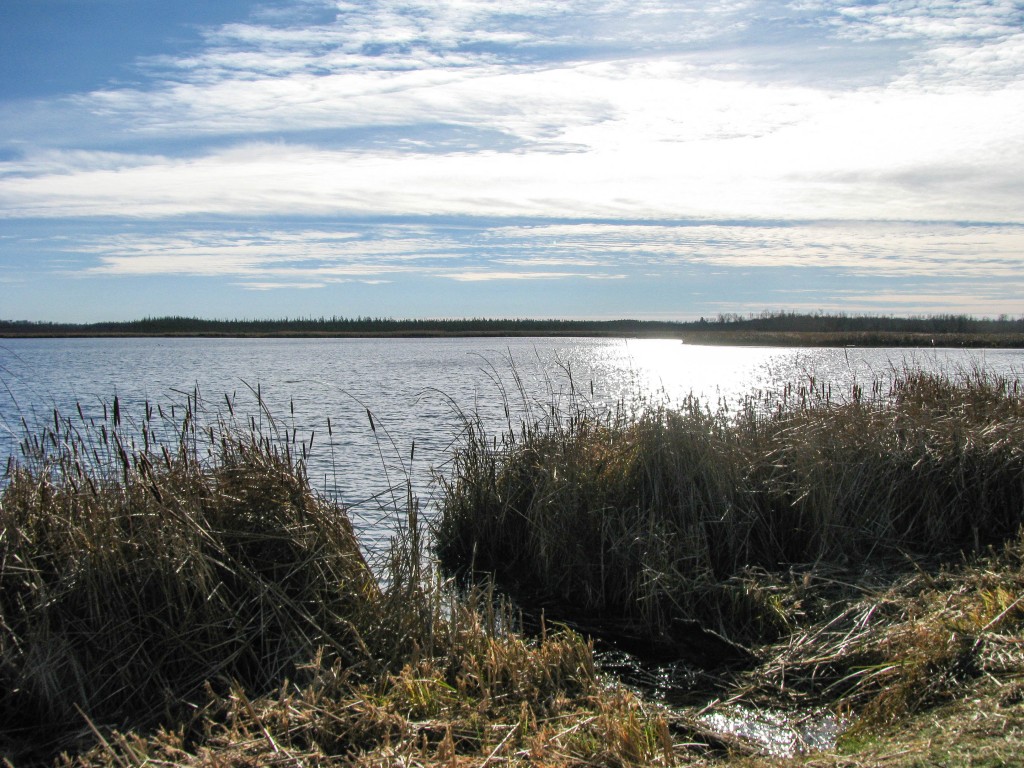 November Hotspot of the Month--Pershing Wildlife Area - eBird Wisconsin