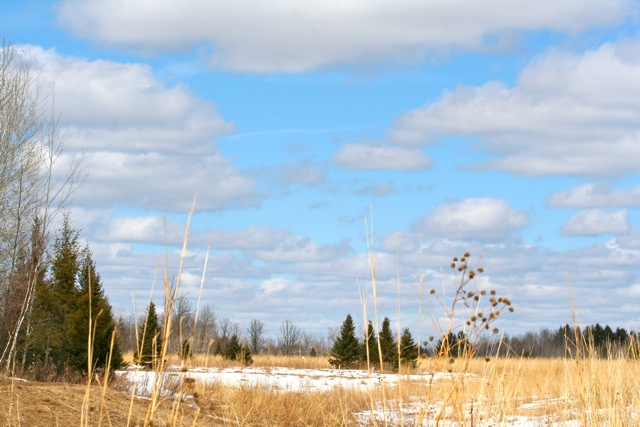Hotspot of the Month -- Reclaimed Flambeau Mine Nature Trails ...