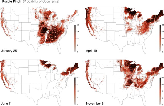 New eBird publication highlights a novel approach to citizen science ...