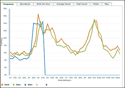Birds of Spring: Tales of Caution and the Top 5 Most Misidentified ...