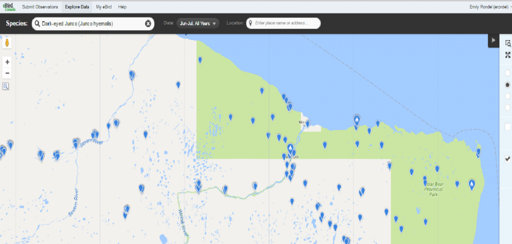 Bird Studies Canada undergoing major data-push to eBird! - eBird Canada