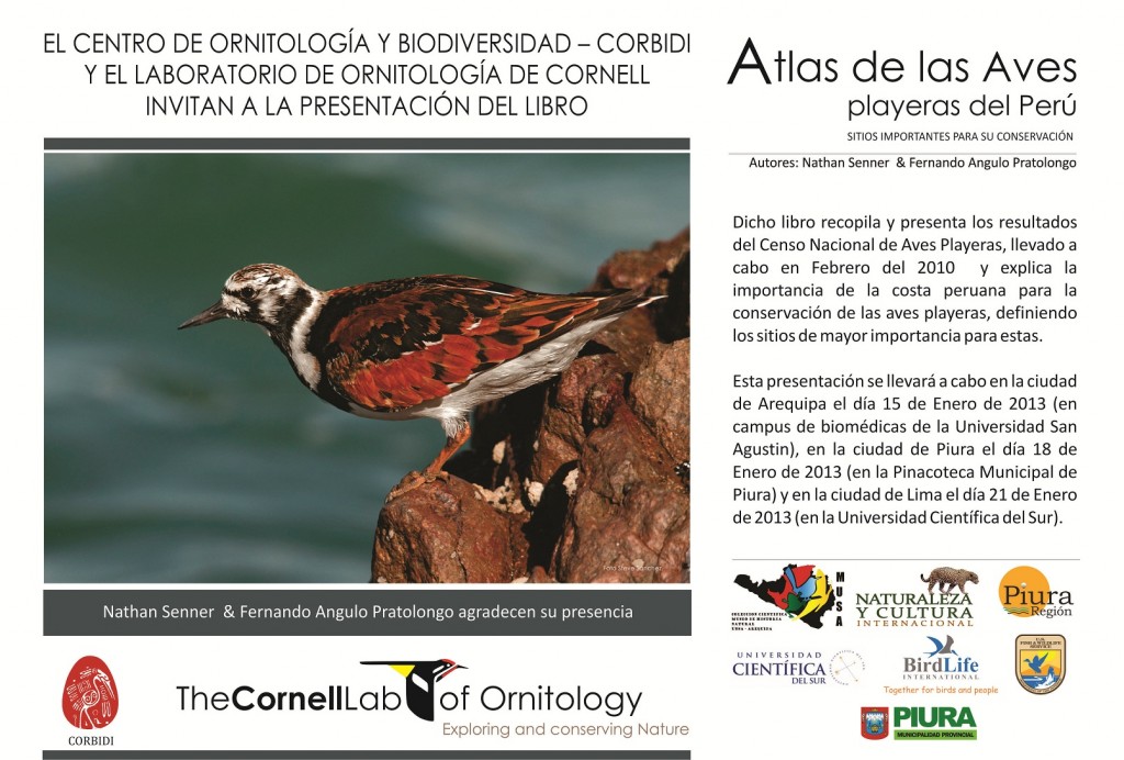 Se presentó el Atlas de las Aves Playeras del Perú - eBird Peru