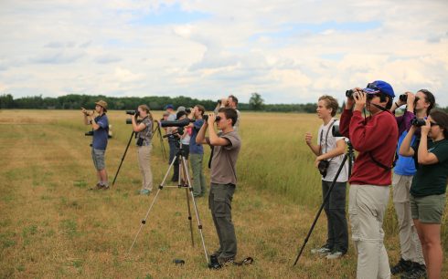For Young Birders - eBird
