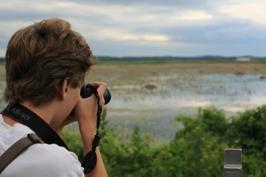 For Young Birders - eBird