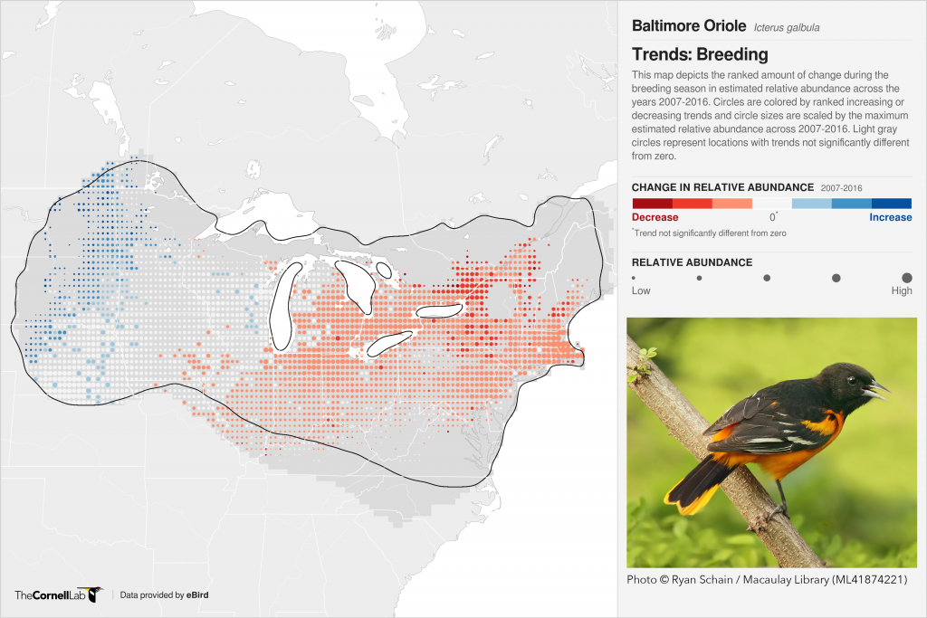 October eBirder of the Month Challenge - eBird