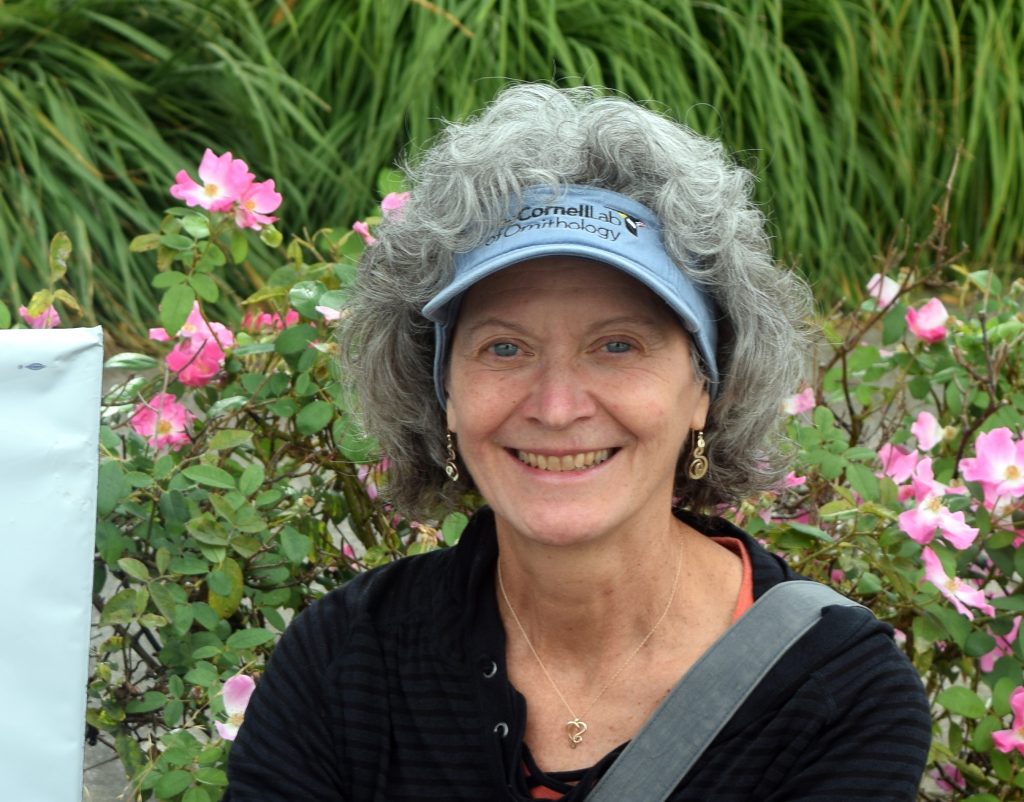 Kate Lowry, June 2019 eBirder of the Month - eBird