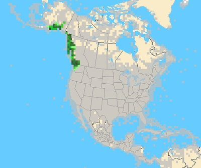 Identification Pitfalls--Crows and Ravens - eBird