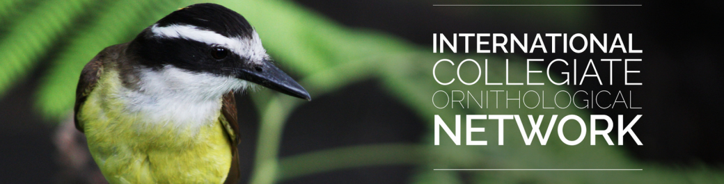International Collegiate Ornithological Network - eBird