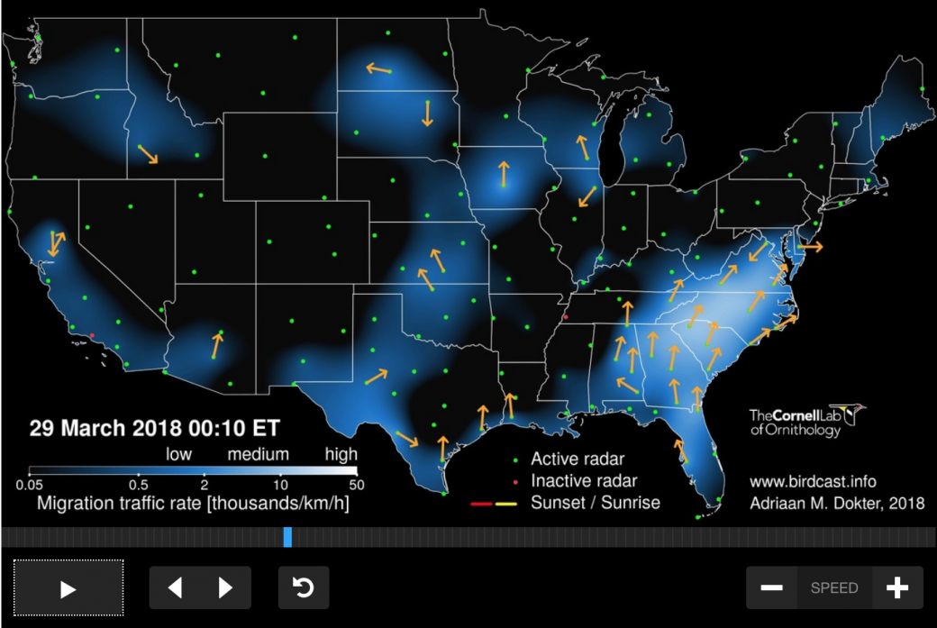 BirdCast: real-time migration information - eBird