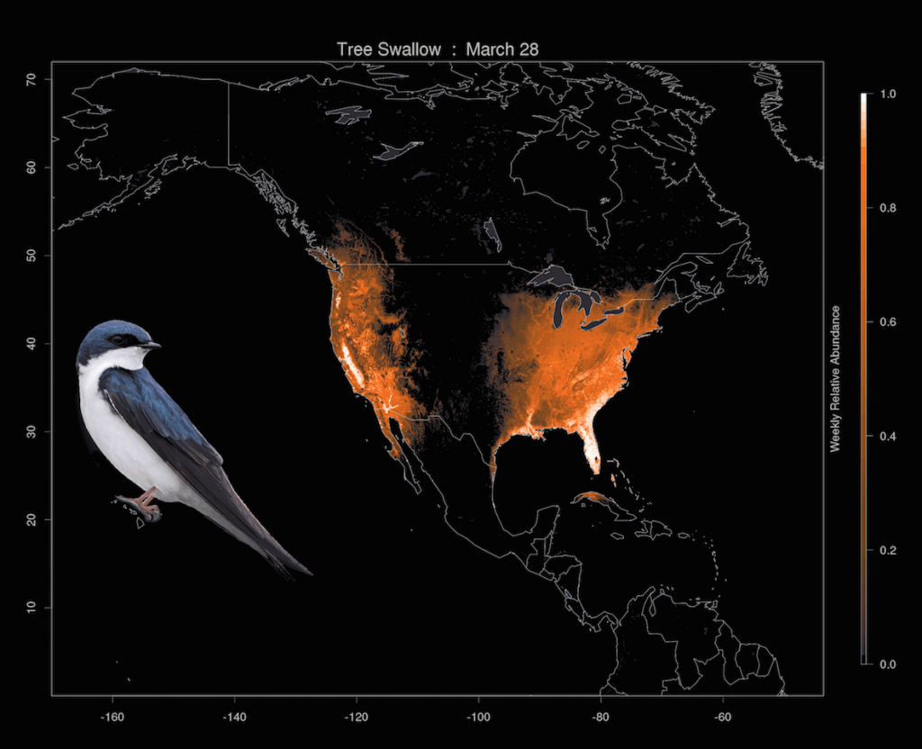 April eBirder of the Month Challenge - eBird