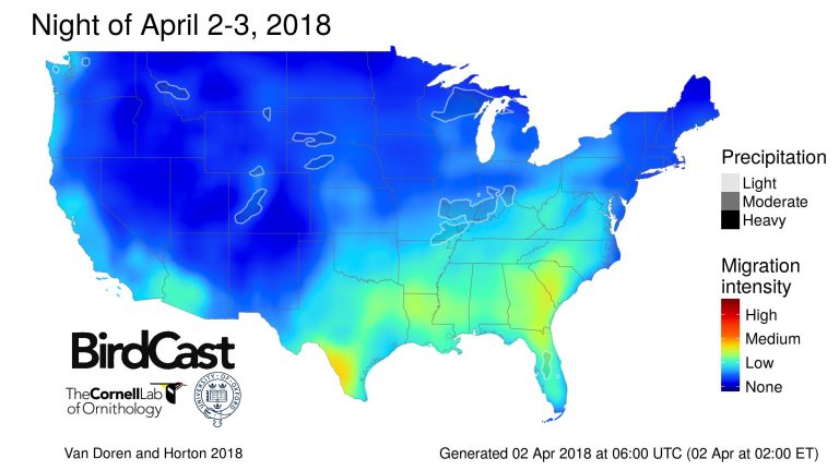 BirdCast: real-time migration information - eBird