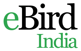 Introducing eBird India - eBird