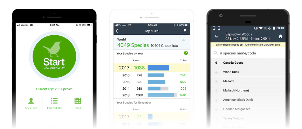 Using eBird Mobile on your Christmas Bird Counts - eBird