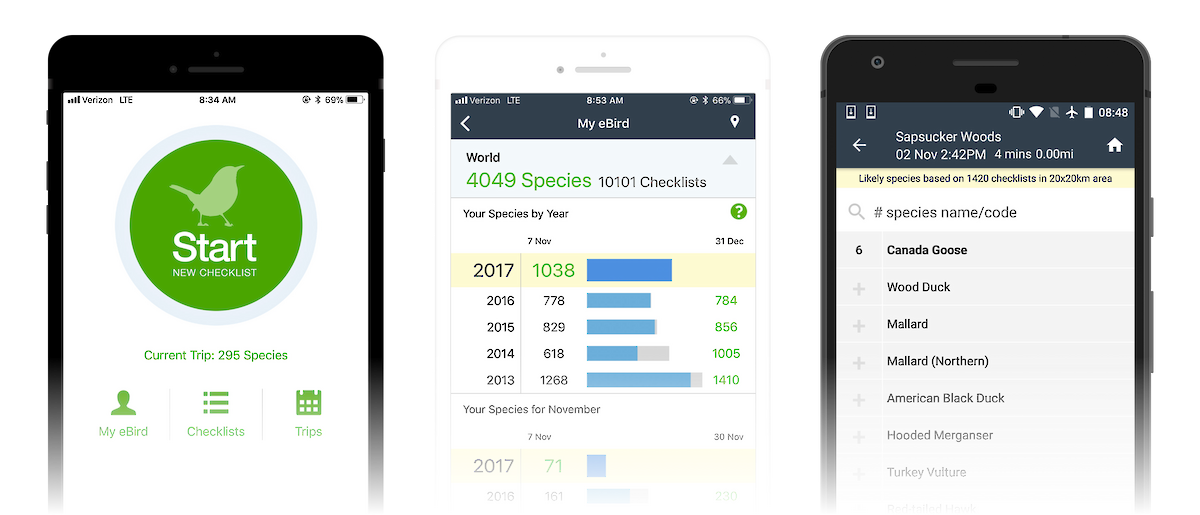 Using eBird Mobile on your Christmas Bird Counts - eBird