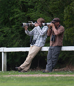 Join Team eBird: eBird Project Assistant Position Open - eBird
