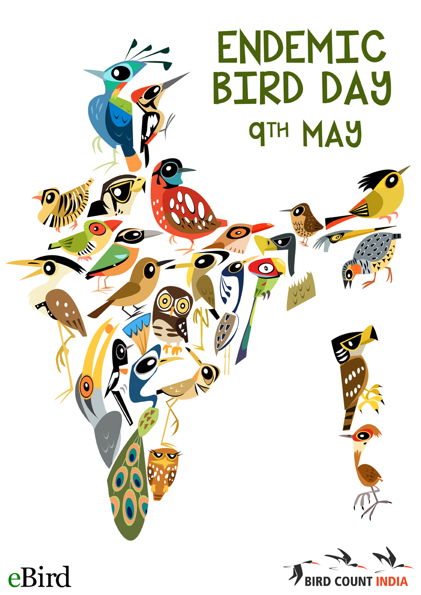 Global Big Day—Worldwide Success - eBird