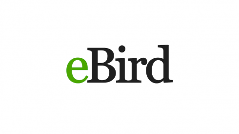 About eBird - eBird