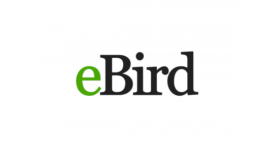 About eBird - eBird