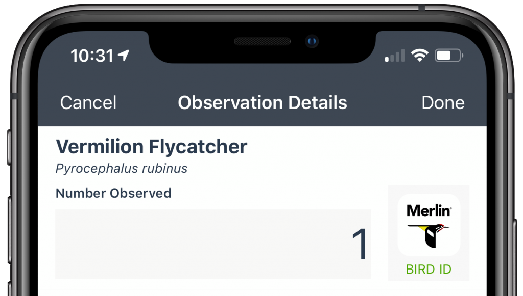 New integrated features in eBird Mobile and Merlin Bird ID - eBird
