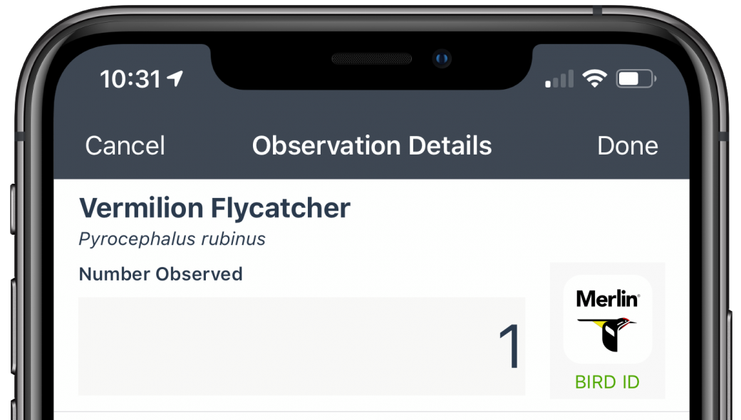 New integrated features in eBird Mobile and Merlin Bird ID - eBird