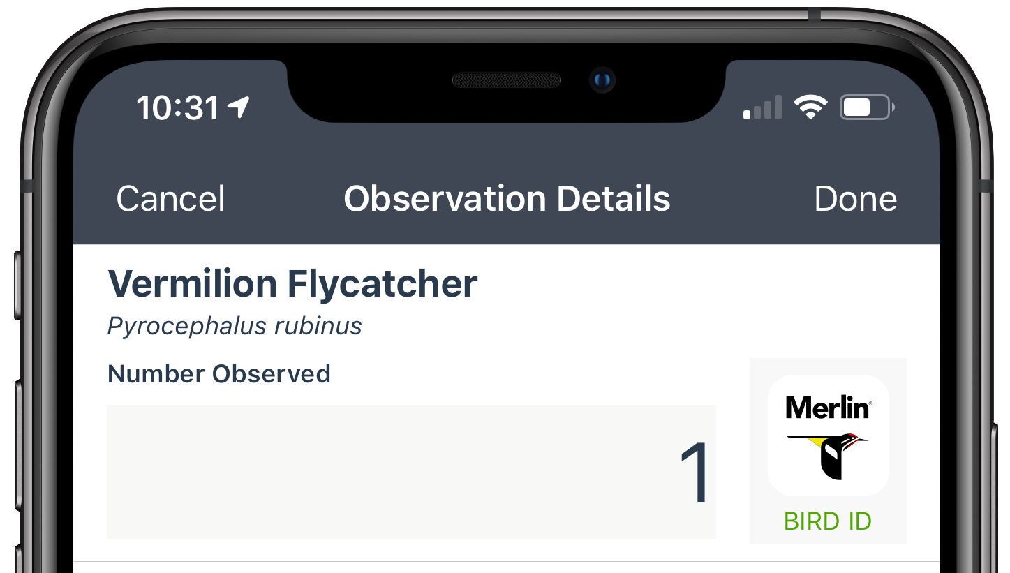 New integrated features in eBird Mobile and Merlin Bird ID - eBird