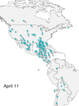Citizen Science Reveals Annual Bird Migrations Across Continents - eBird