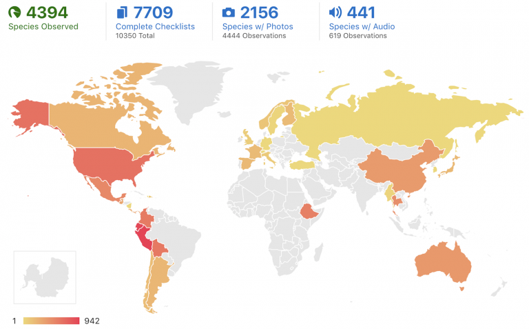 Sharing your sightings on eBird - eBird