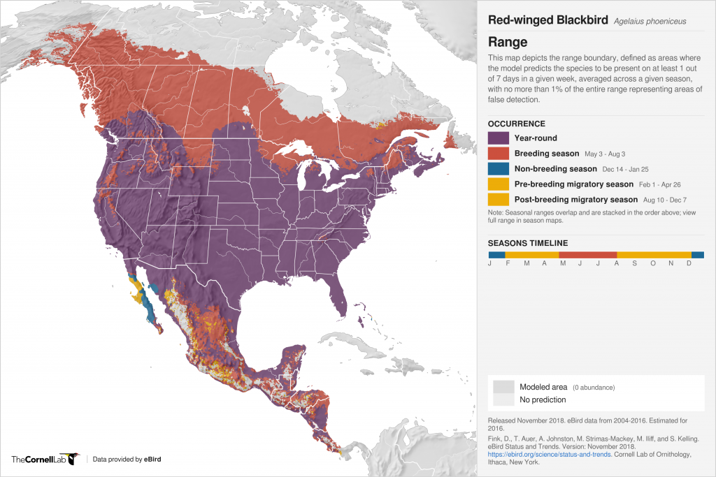 A new era of eBird Science: Status and Trends - eBird
