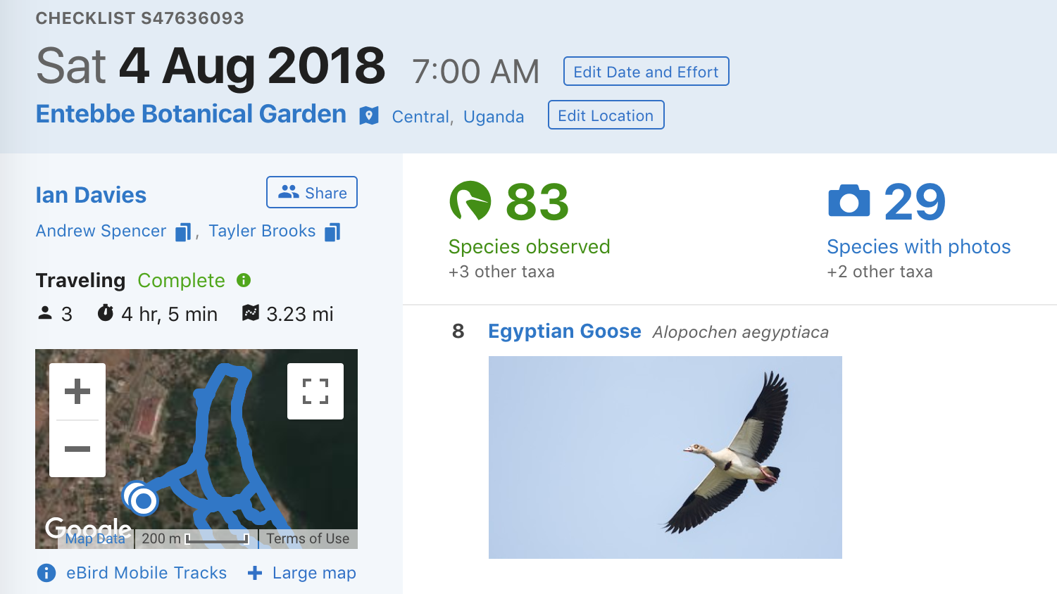 New checklist view in eBird - eBird Central America