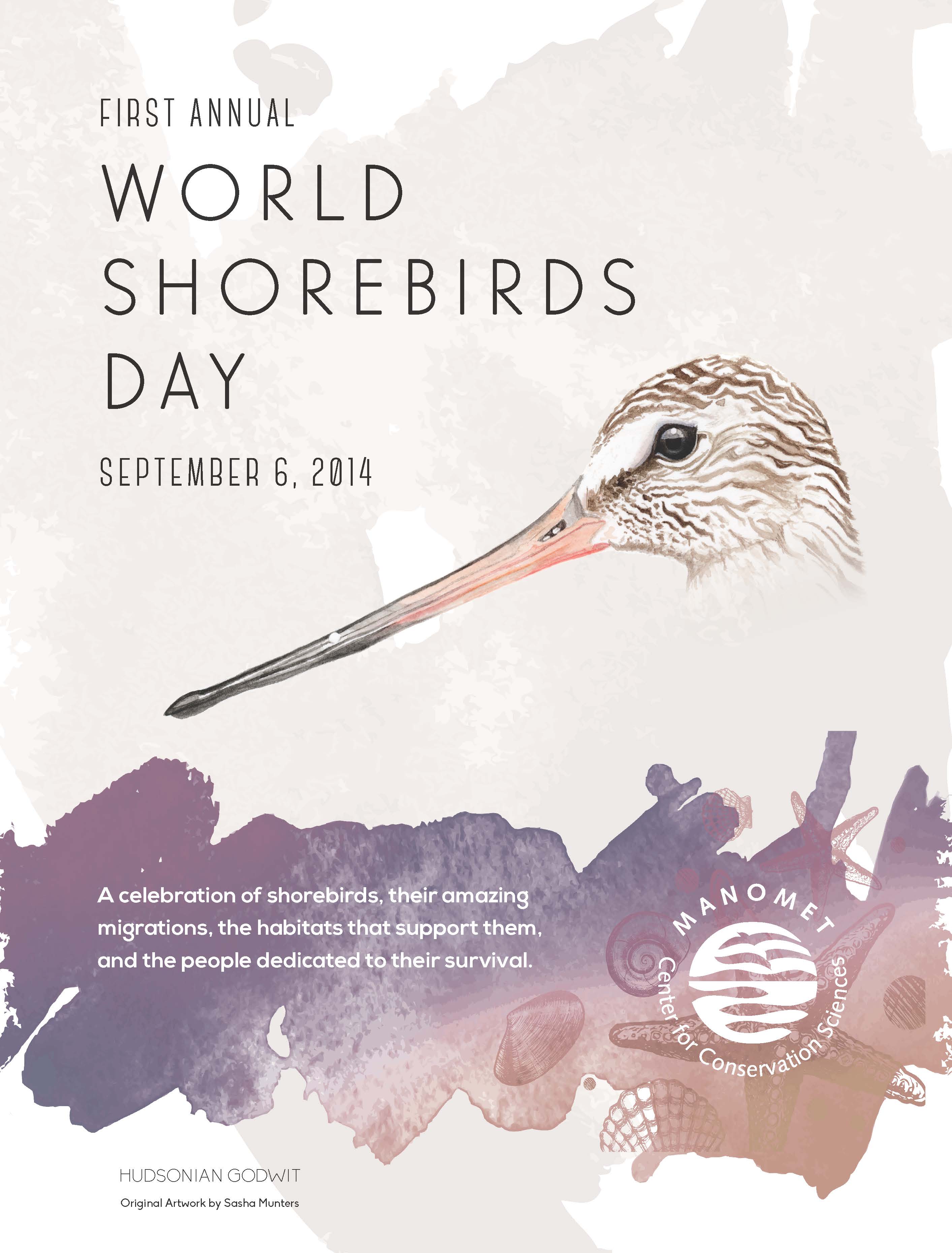 Participate in World Shorebird Day this weekend! - eBird Central America