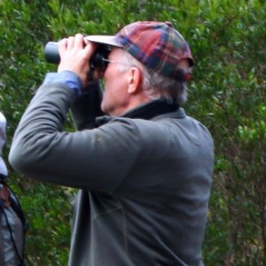 37 years of counting - building a long-term picture - eBird Australia