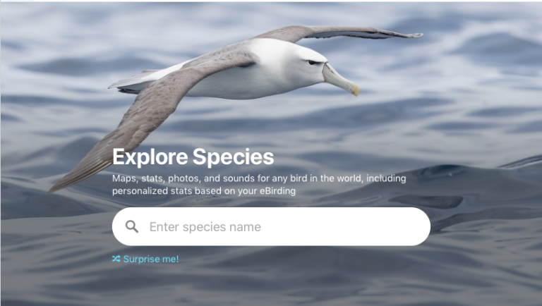 Announcing Explore Species - eBird Australia
