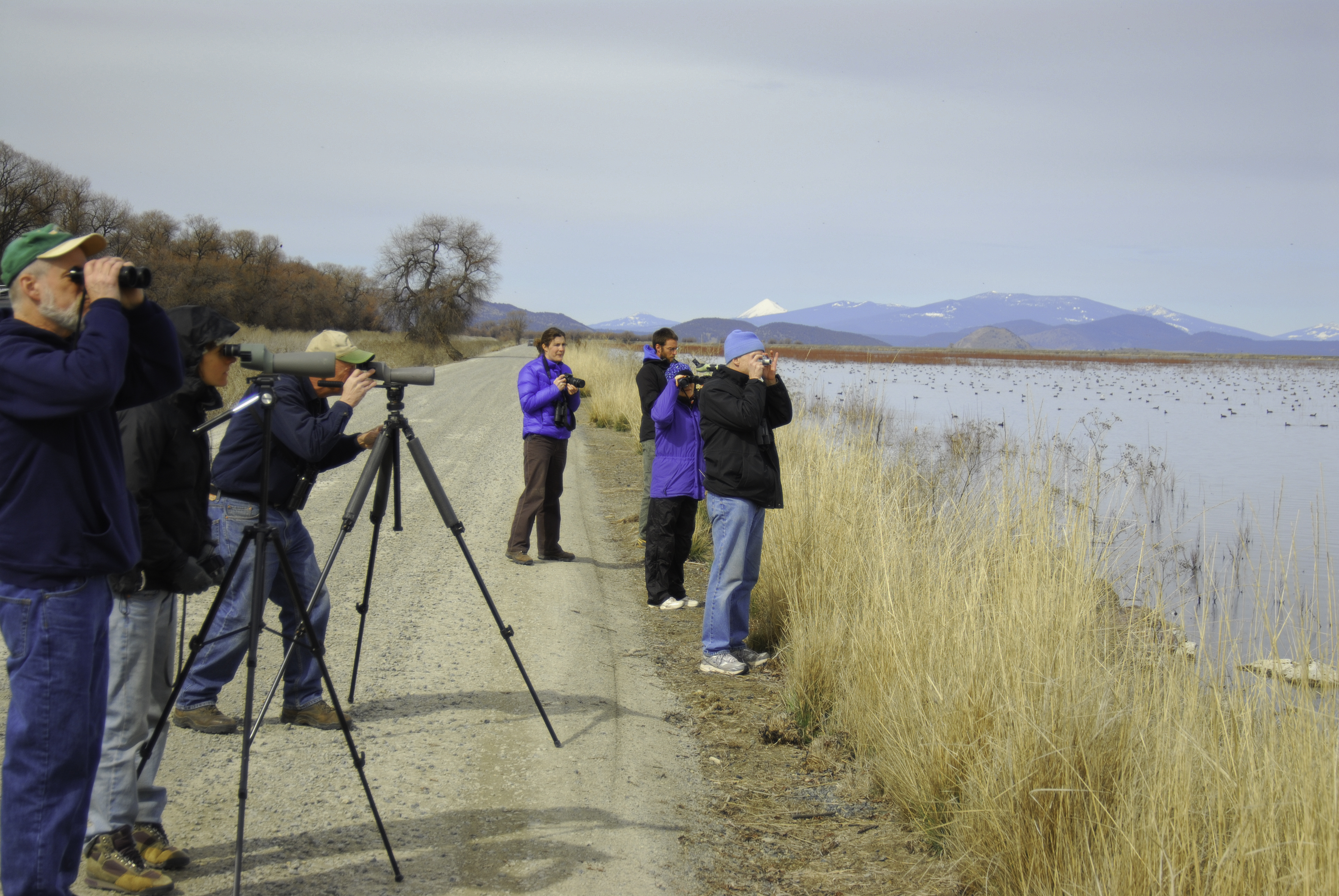 Upcoming Birding Festivals - eBird Oregon