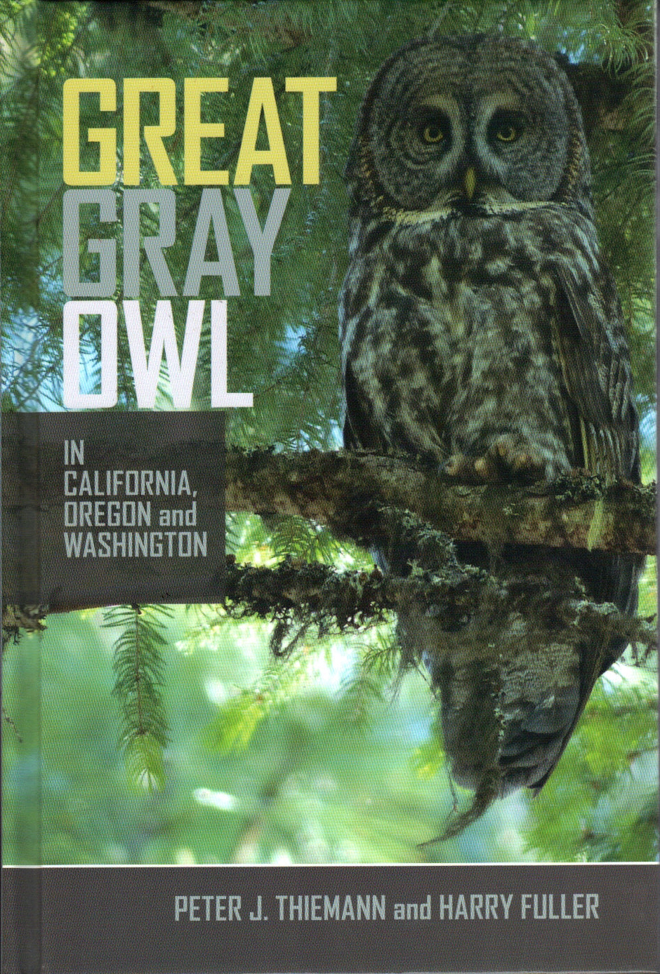 eBirding the Elusive Great Grey Owl - eBird Oregon