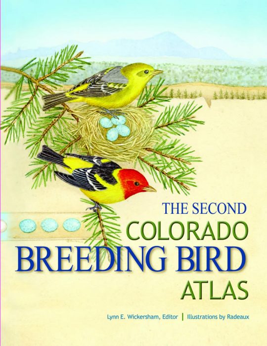 Atlaser Spotlight: Douglas Kibbe - Wisconsin Breeding Bird Atlas