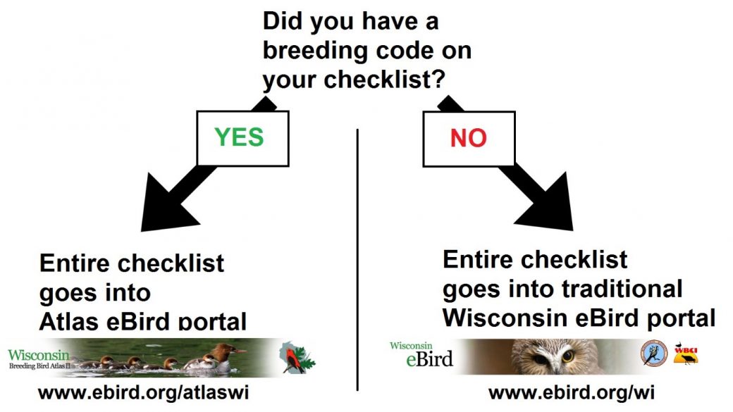 How to move a checklist from “regular” eBird to Atlas eBird - Wisconsin ...